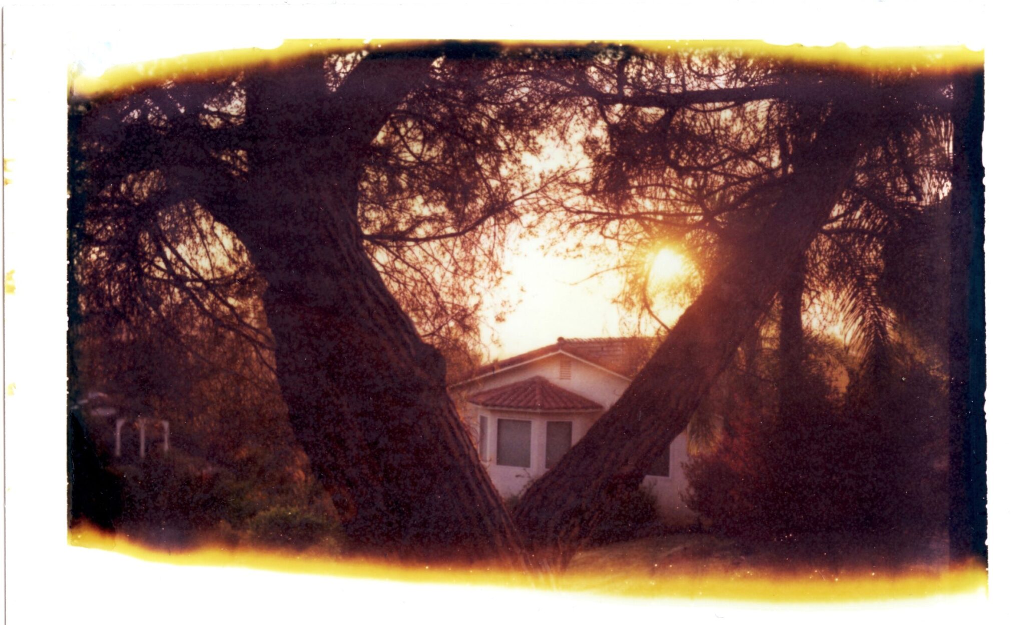 What's Pack Film? | An Enthusiastic Look at Old Instant Film